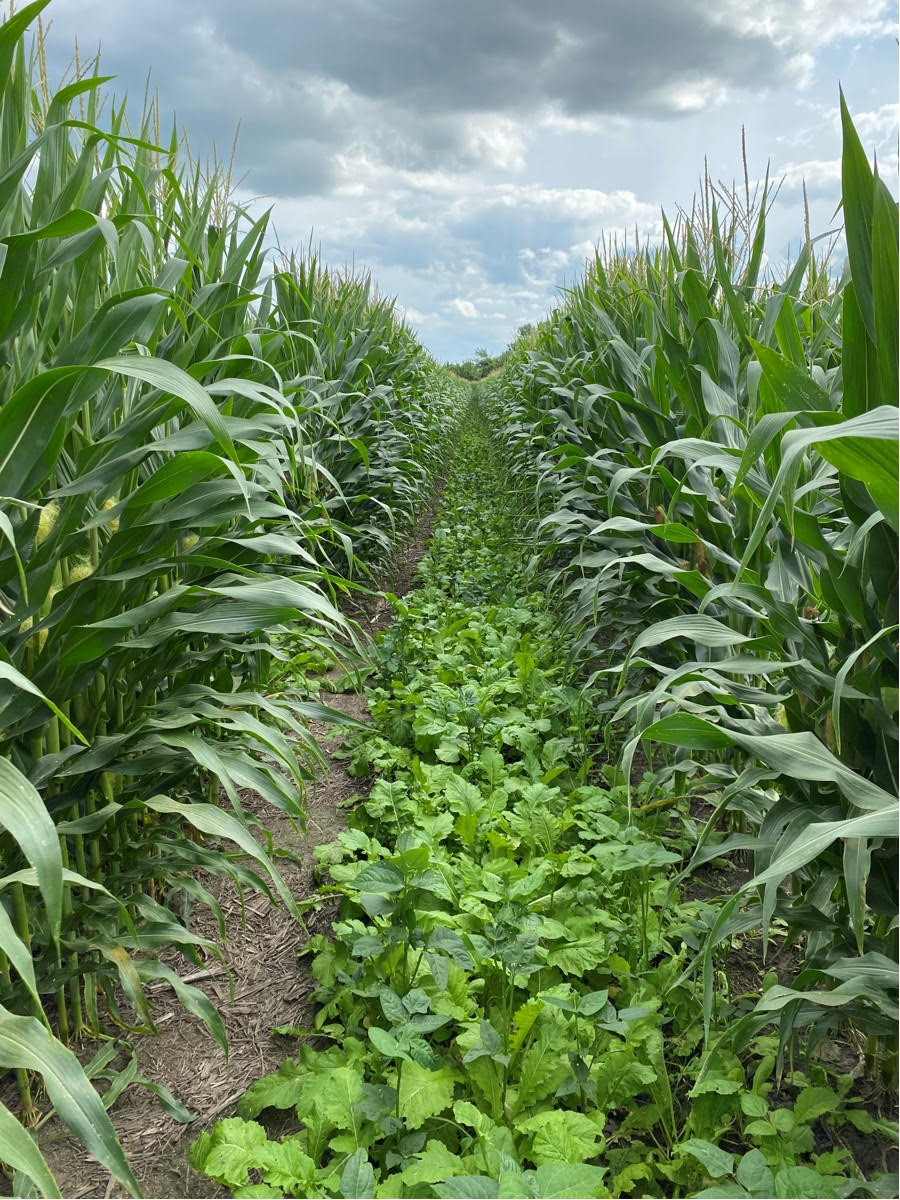 Events - CONTINUUM AG